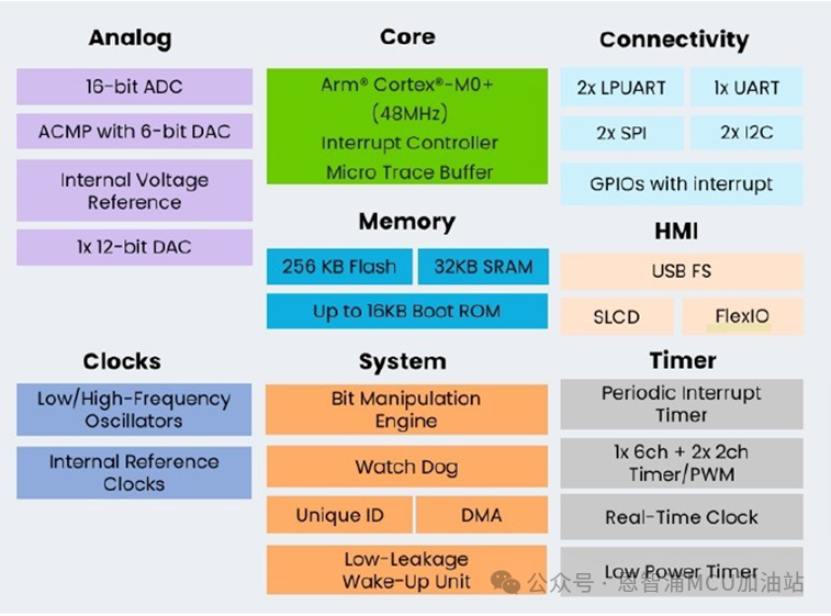 MCX大家族再添璀璨新成员: MCX C系列高性价比MCU正式发布 | MCU加油站